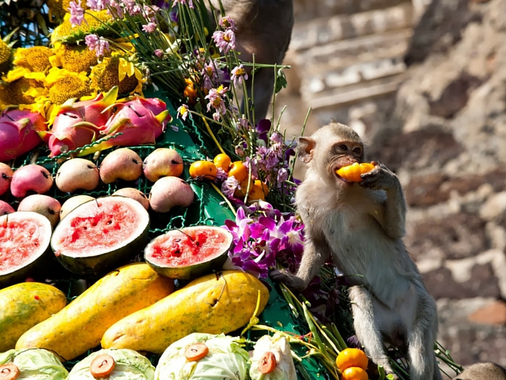 Festival : un buffet géant pour les singes - Vivre en Thaïlande